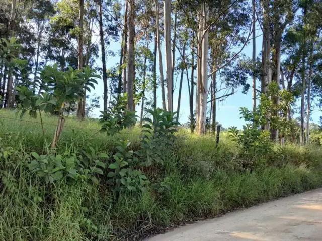 Sítio / Chácara para Venda em Paraibuna/SP Bairro do Espírito Santo
