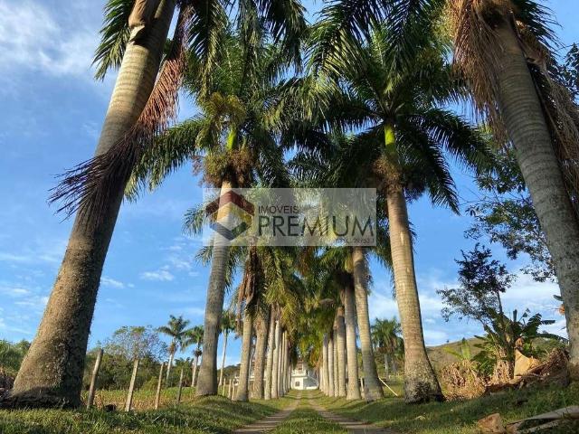 Sítio / Chácara para Venda em Paraibuna/SP Bairro do Espírito Santo 7 Quartos