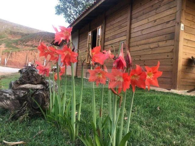 Sítio / Chácara para Venda em Paraibuna/SP Vila Amélia 3 Quartos