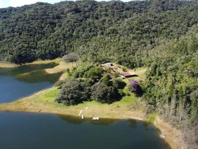 Sítio / Chácara para Venda em Paraibuna/SP Zona Rural 5 Quartos