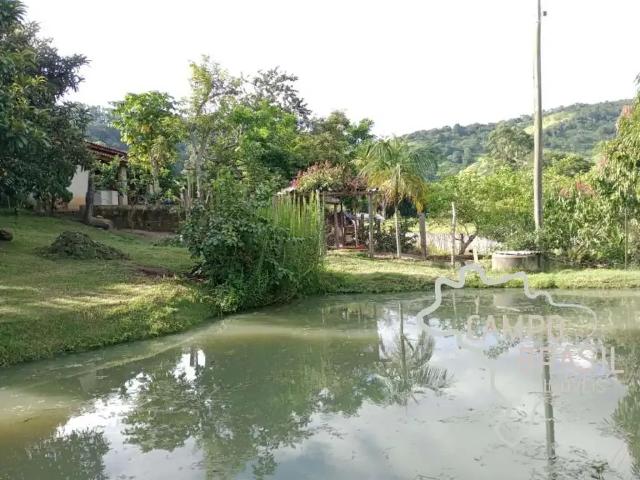 Sítio / Chácara para Venda em Paraibuna/SP Zona Rural 3 Quartos