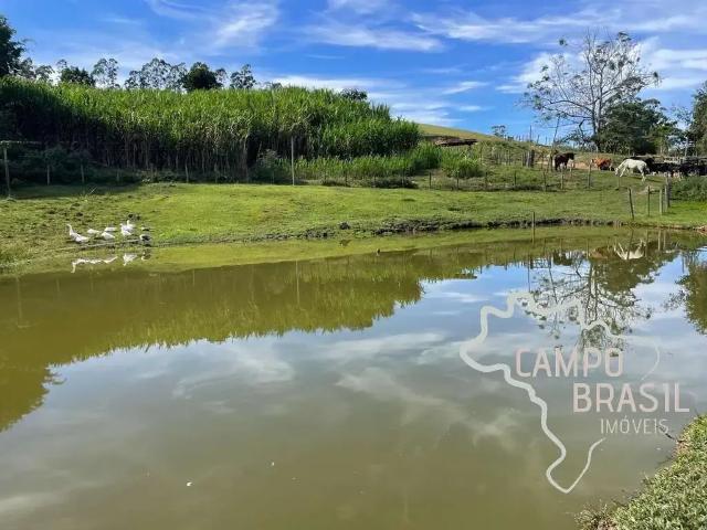Sítio / Chácara para Venda em Paraibuna/SP Zona Rural 3 Quartos