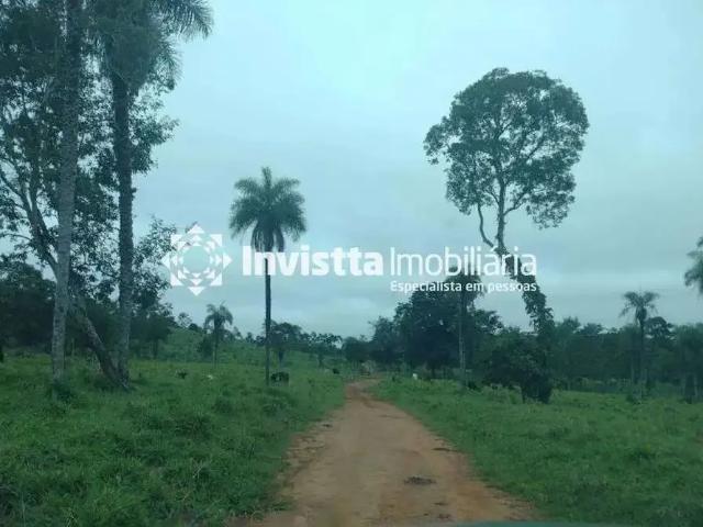 Sítio / Chácara para Venda em Paraíso do Tocantins/TO Jardim América