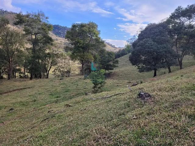 Sítio / Chácara para Venda em Paraisópolis/MG Centro