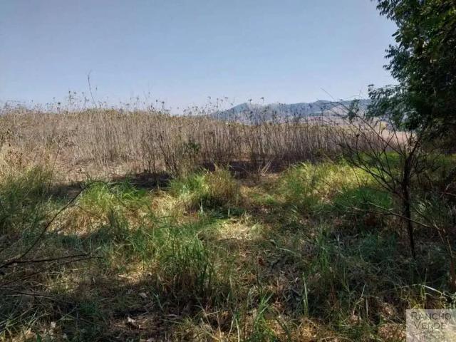 Sítio / Chácara para Venda em Paraisópolis/MG Zona Rural