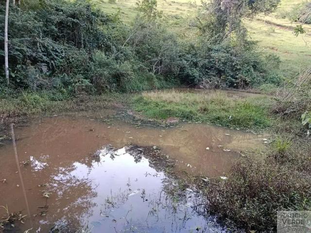 Sítio / Chácara para Venda em Paraisópolis/MG Zona Rural