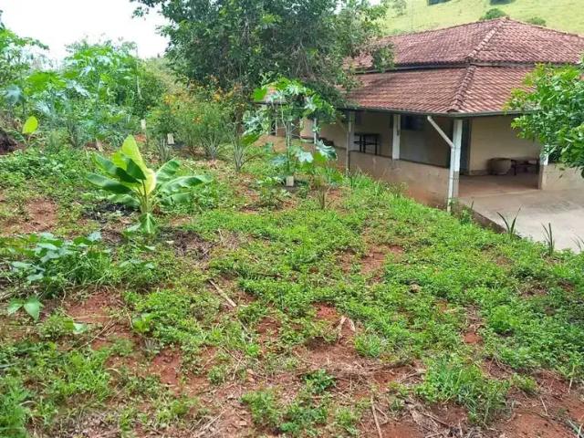 Sítio / Chácara para Venda em Paraisópolis/MG Zona Rural 3 Quartos