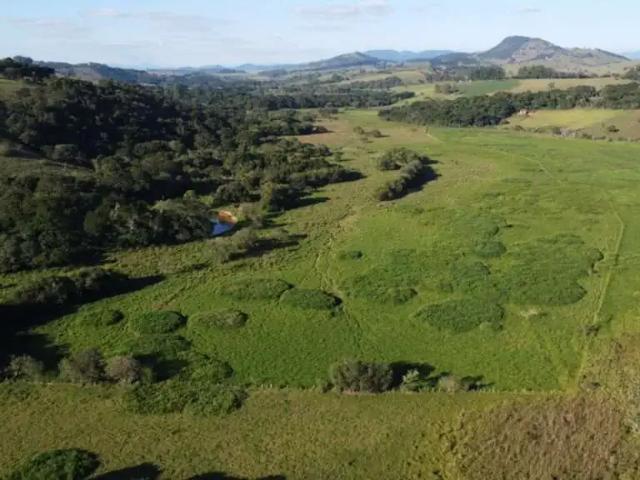 Sítio / Chácara para Venda em Paraisópolis/MG Zona Rural 3 Quartos