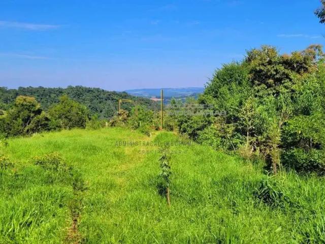 Sítio / Chácara para Venda em Pardinho/SP Centro