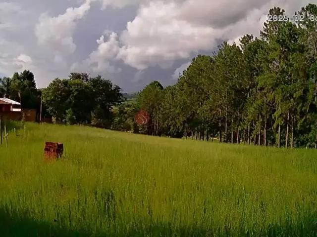Sítio / Chácara para Venda em Pardinho/SP Serra Italiana 3 Quartos