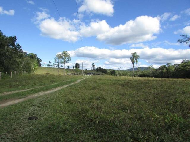Sítio / Chácara para Venda em Pariquera Açu/SP Nova Cremona