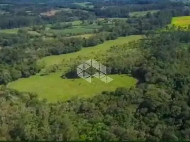 Sítio / Chácara para Venda em Passo do Sobrado/RS Zona Rural 3 Quartos