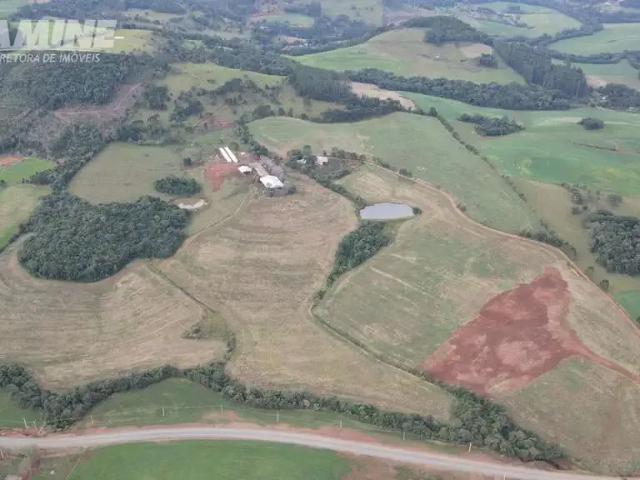 Sítio / Chácara para Venda em Passos Maia/SC Zona Rural