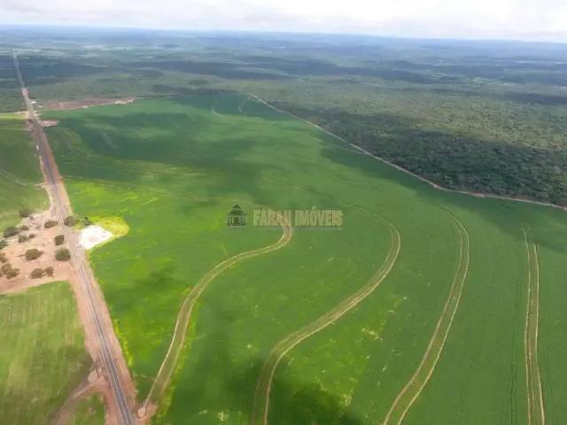 Sítio / Chácara para Venda em Passagem Franca do Piauí/PI Zona Rural 1 Quartos