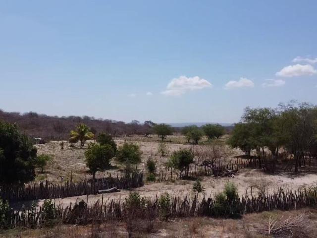 Sítio / Chácara para Venda em Petrolândia/PE Zona Rural