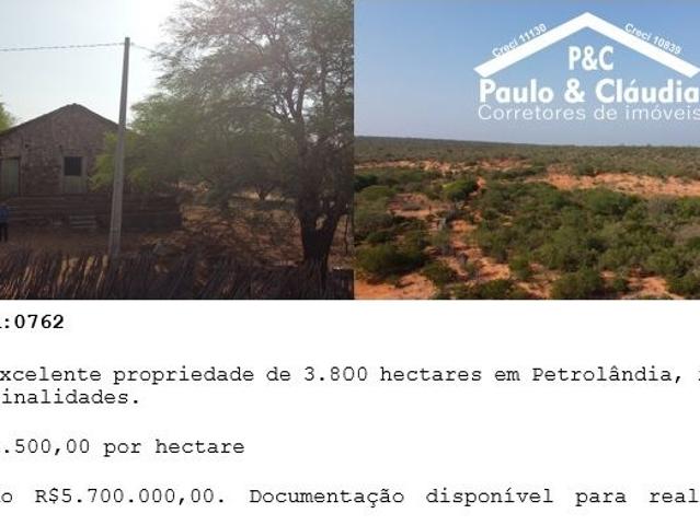 Sítio / Chácara para Venda em Petrolândia/PE Zona Rural
