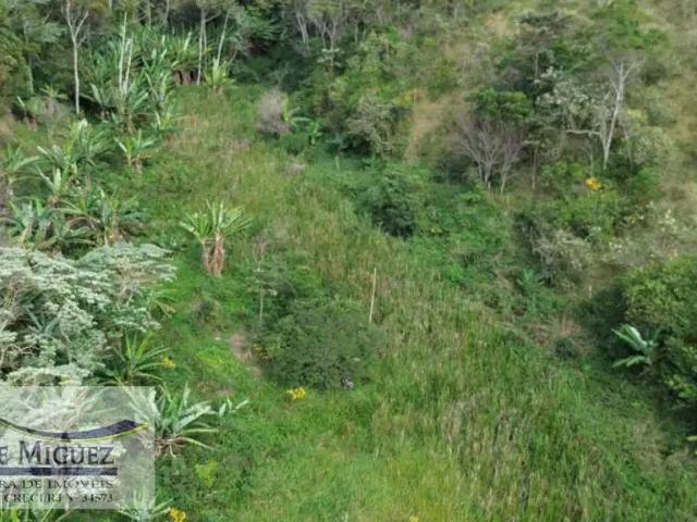 Sítio / Chácara para Venda em Petrópolis/RJ Vale das Videiras