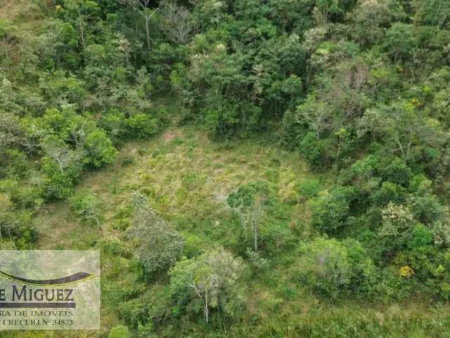 Sítio / Chácara para Venda em Petrópolis/RJ Vale das Videiras