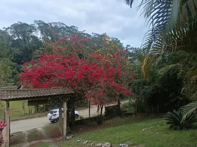 Sítio / Chácara para Venda em Pedro de Toledo/SP Zona Rural 4 Quartos