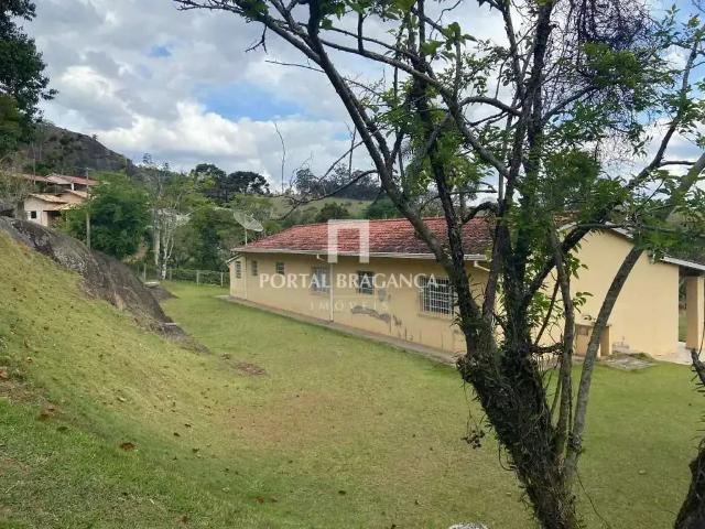 Sítio / Chácara para Venda em Pedra Bela/SP Maciel 3 Quartos