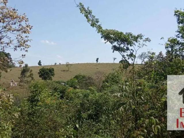 Sítio / Chácara para Venda em Pedra Bela/SP Campestre