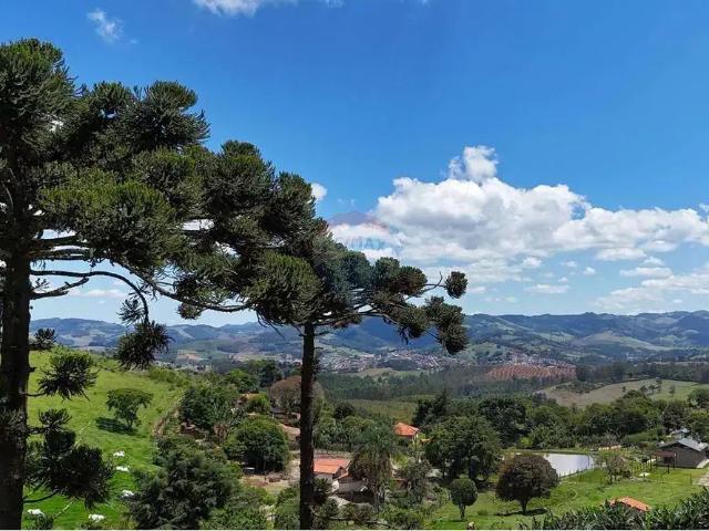 Sítio / Chácara para Venda em Pedra Bela/SP Centro 5 Quartos
