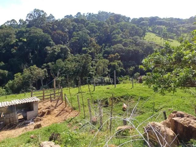 Sítio / Chácara para Venda em Pedra Bela/SP Centro 3 Quartos