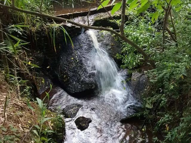 Sítio / Chácara para Venda em Pedra Bela/SP Limas 4 Quartos