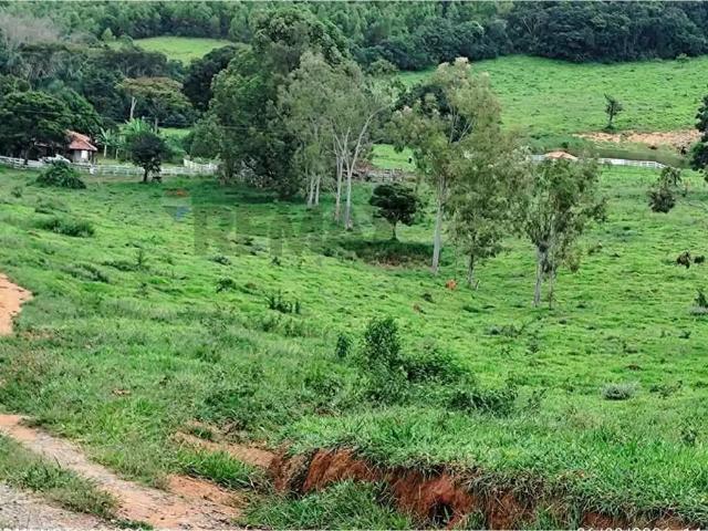 Sítio / Chácara para Venda em Pedra do Indaiá/MG Centro 4 Quartos
