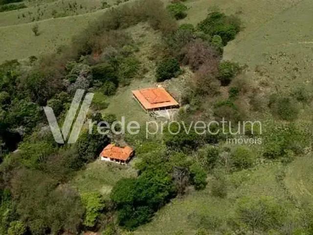 Sítio / Chácara para Venda em Pedreira/SP Alto do Santana 4 Quartos