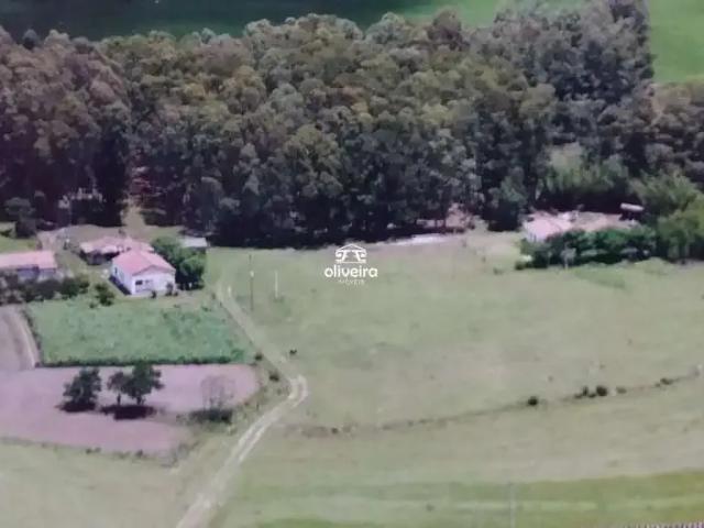 Sítio / Chácara para Venda em Pelotas/RS Fragata
