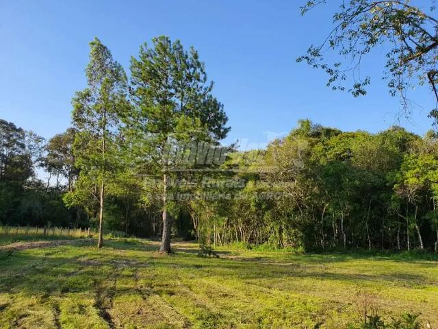 Sítio / Chácara para Venda em Pelotas/RS Zona rural