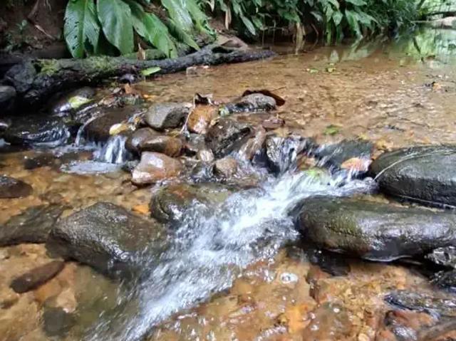 Sítio / Chácara para Venda em Peruíbe/SP Guaraú 1 Quartos
