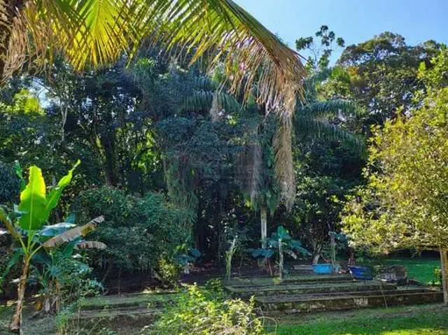 Sítio / Chácara para Venda em Peruíbe/SP Jardim Caraguava 6 Quartos