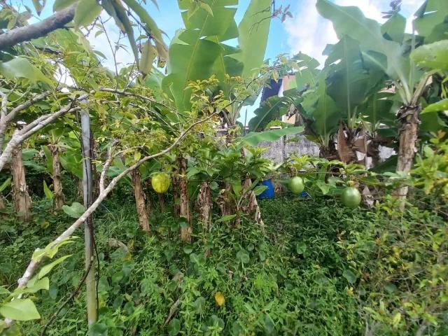 Sítio / Chácara para Venda em Peruíbe/SP Jardim Dos Prados 3 Quartos