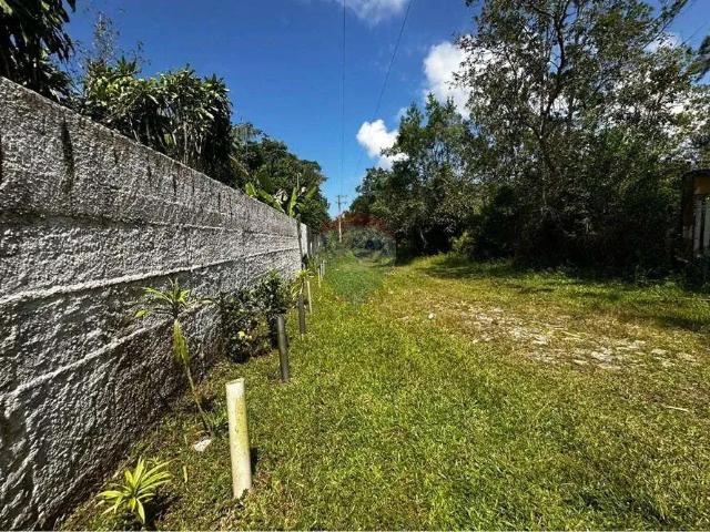 Sítio / Chácara para Venda em Peruíbe/SP Parque Balneário Oásis 10 Quartos