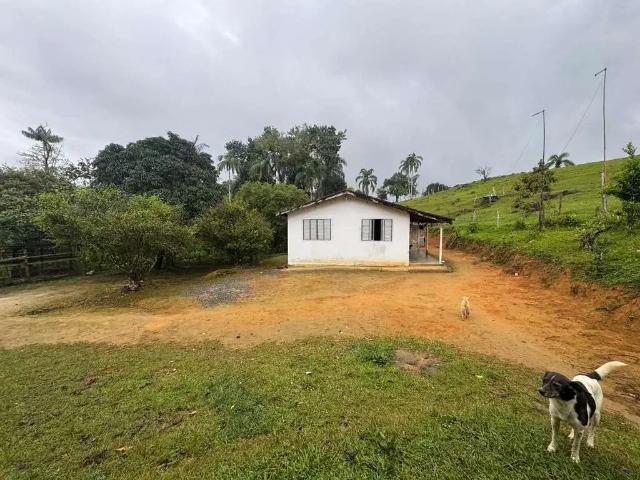 Sítio / Chácara para Venda em Peruíbe/SP Vila Peruibe 1 Quartos