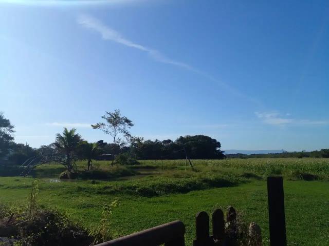 Sítio / Chácara para Venda em Peruíbe/SP Zona Rural