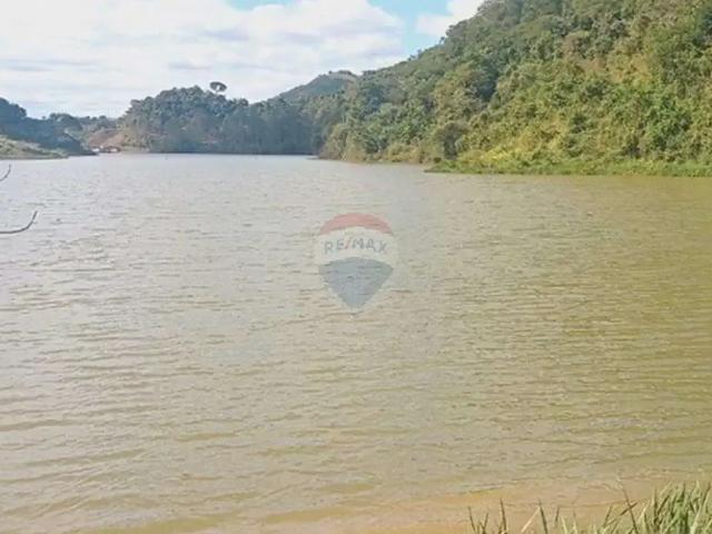 Sítio / Chácara para Venda em Piau/MG Centro