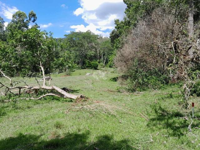 Sítio / Chácara para Venda em Picada Café/RS Zona Rural