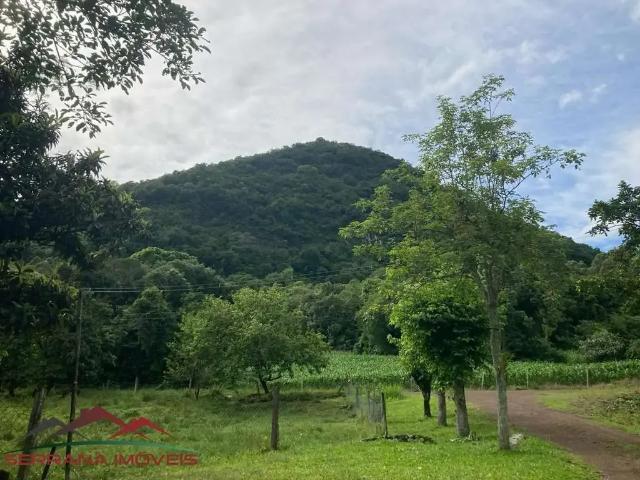 Sítio / Chácara para Venda em Picada Café/RS Jammerthal 4 Quartos