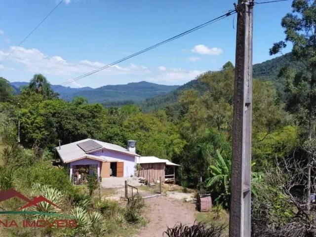 Sítio / Chácara para Venda em Picada Café/RS Joaneta 2 Quartos