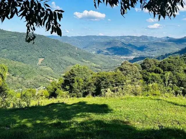 Sítio / Chácara para Venda em Picada Café/RS Morro Hansen