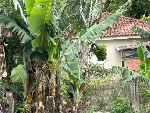 Sítio / Chácara para Venda em Piedade/SP Centro 1 Quartos