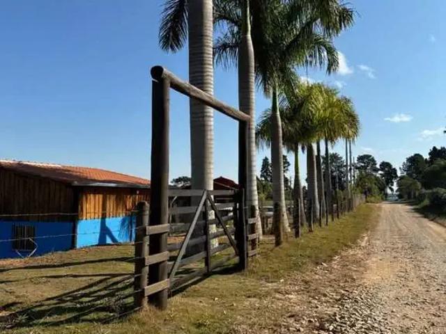 Sítio / Chácara para Venda em Piedade/SP Centro 1 Quartos