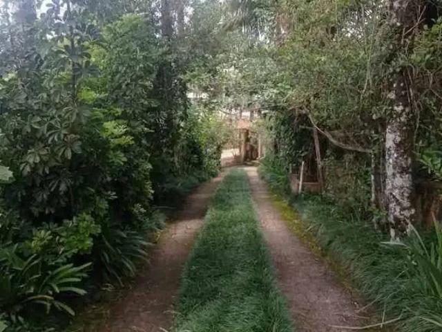 Sítio / Chácara para Venda em Piedade/SP Centro 2 Quartos