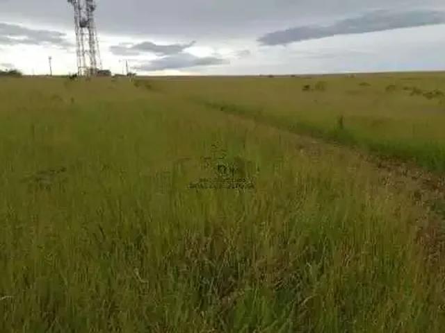 Sítio / Chácara para Venda em Piedade/SP Centro 3 Quartos