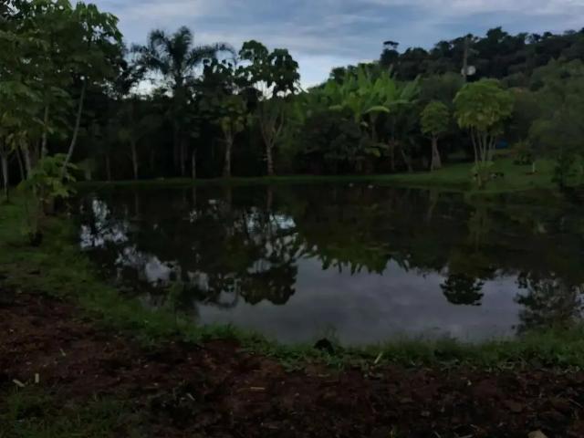 Sítio / Chácara para Venda em Piedade/SP Leite 2 Quartos