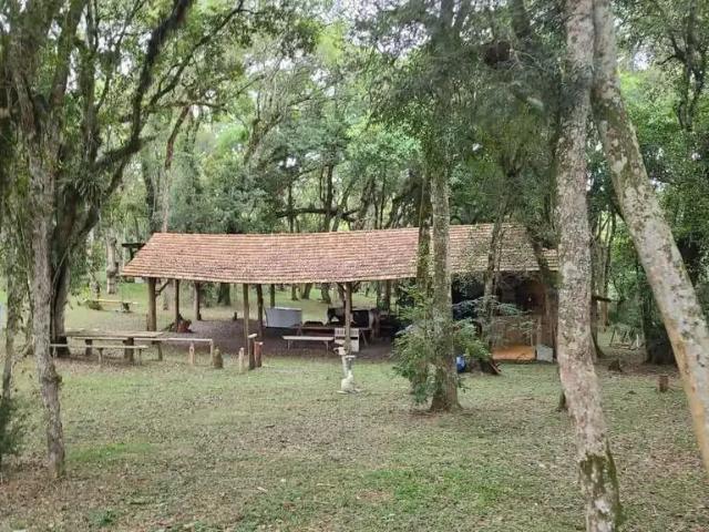 Sítio / Chácara para Venda em Piên/PR Zona Rural