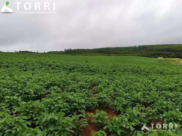 Sítio / Chácara para Venda em Pilar do Sul/SP Centro 5 Quartos